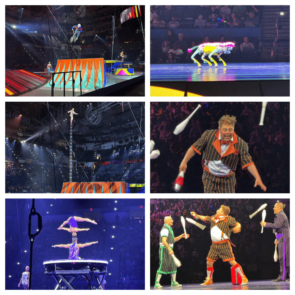 Ringling Bros and Barnum and Bailey Circus is back | Matthew Dicks